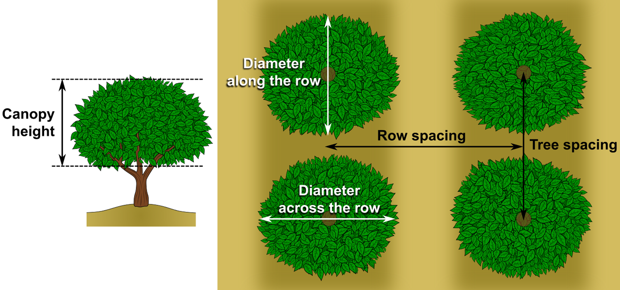 Volume recommendation – CitrusVol